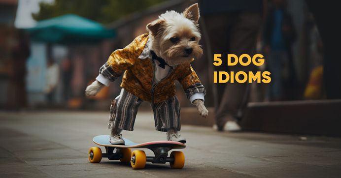 5 Dog Idioms And Their Meanings in English
